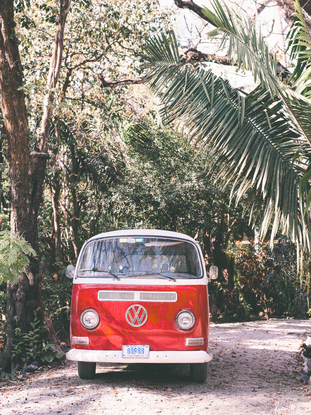 Red VW Bus Print "Jingle Bus" || Tropical Jungle VW Bus Wall Art - The ...